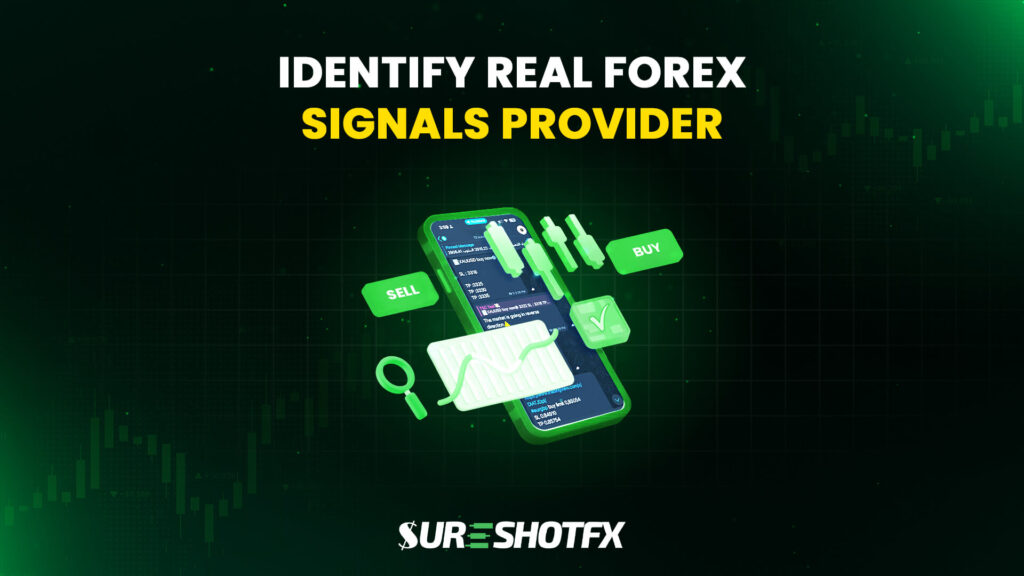 How to Identify Real Forex Signals Provider on Telegram in 2025?