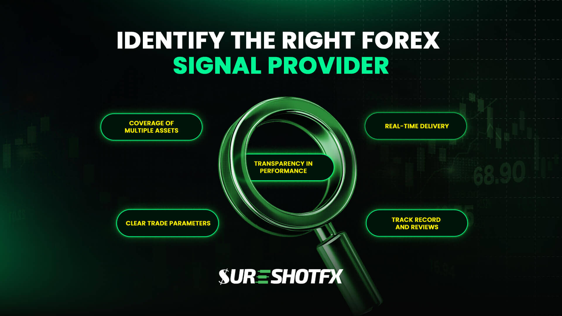 Best Free Live Forex Signals: Real-Time Alerts for Forex Trading