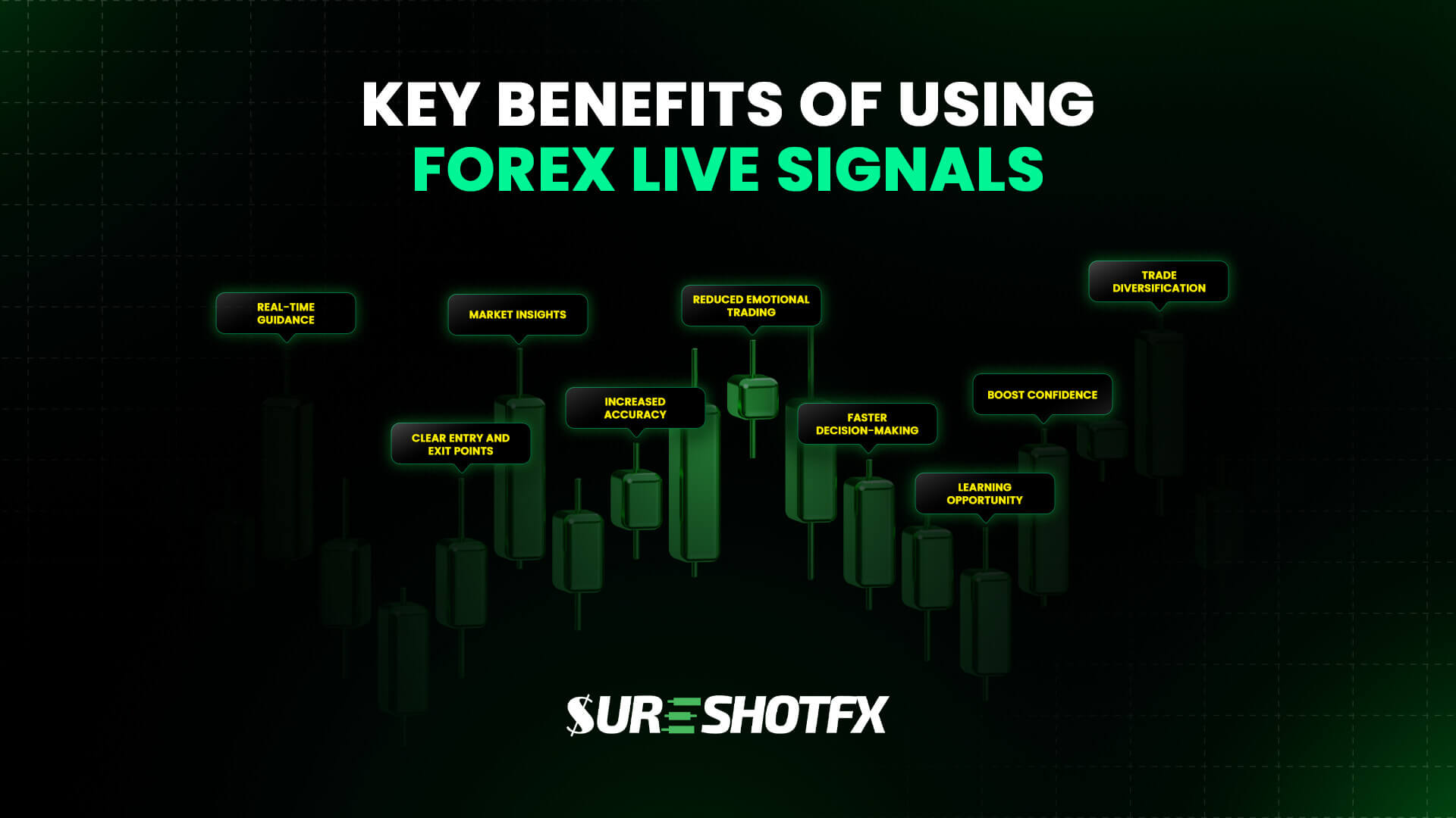 Best Free Live Forex Signals: Real-Time Alerts for Forex Trading